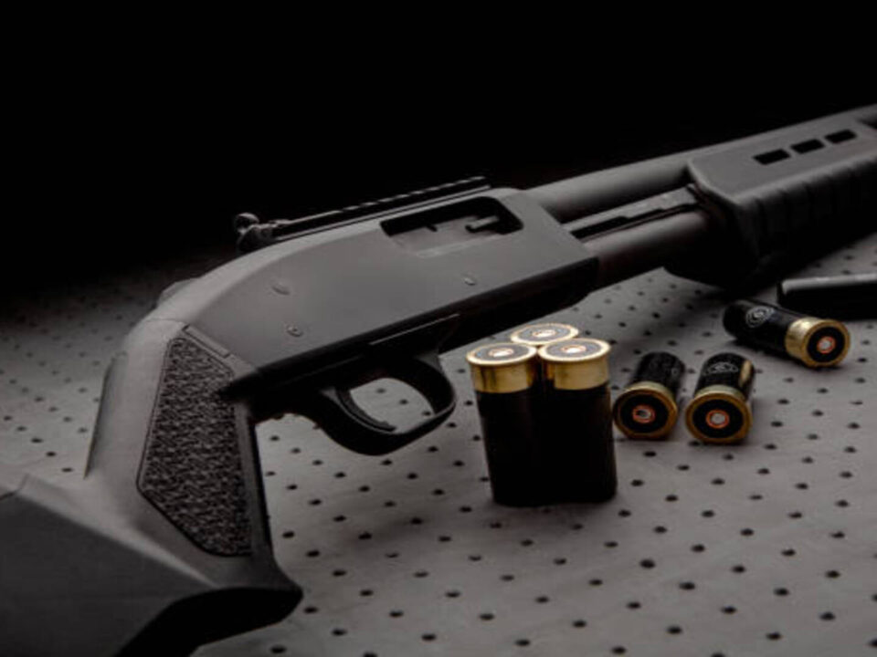 The 12 Gauge Shotgun: Tried and True Firepower - Spring Guns & Ammo
